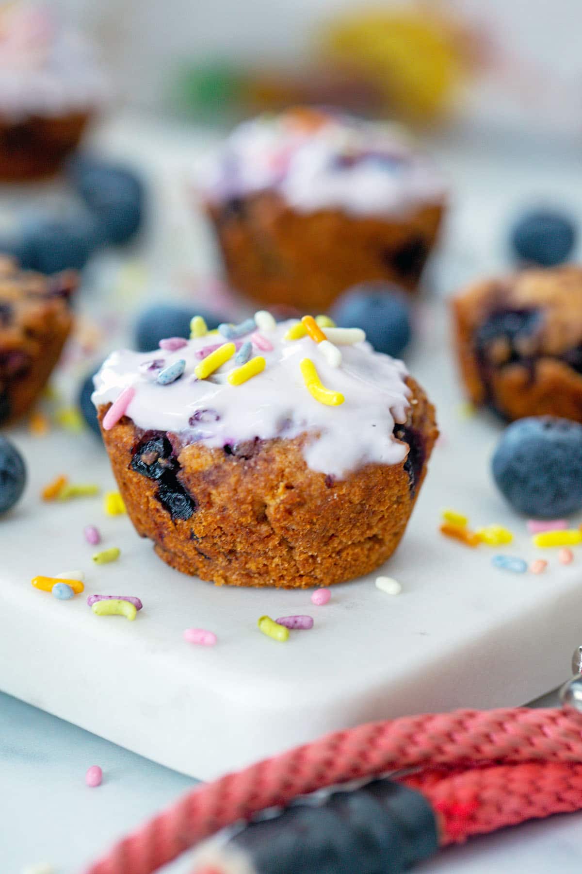 Blueberry Muffins for Dogs Recipe - We are not Martha