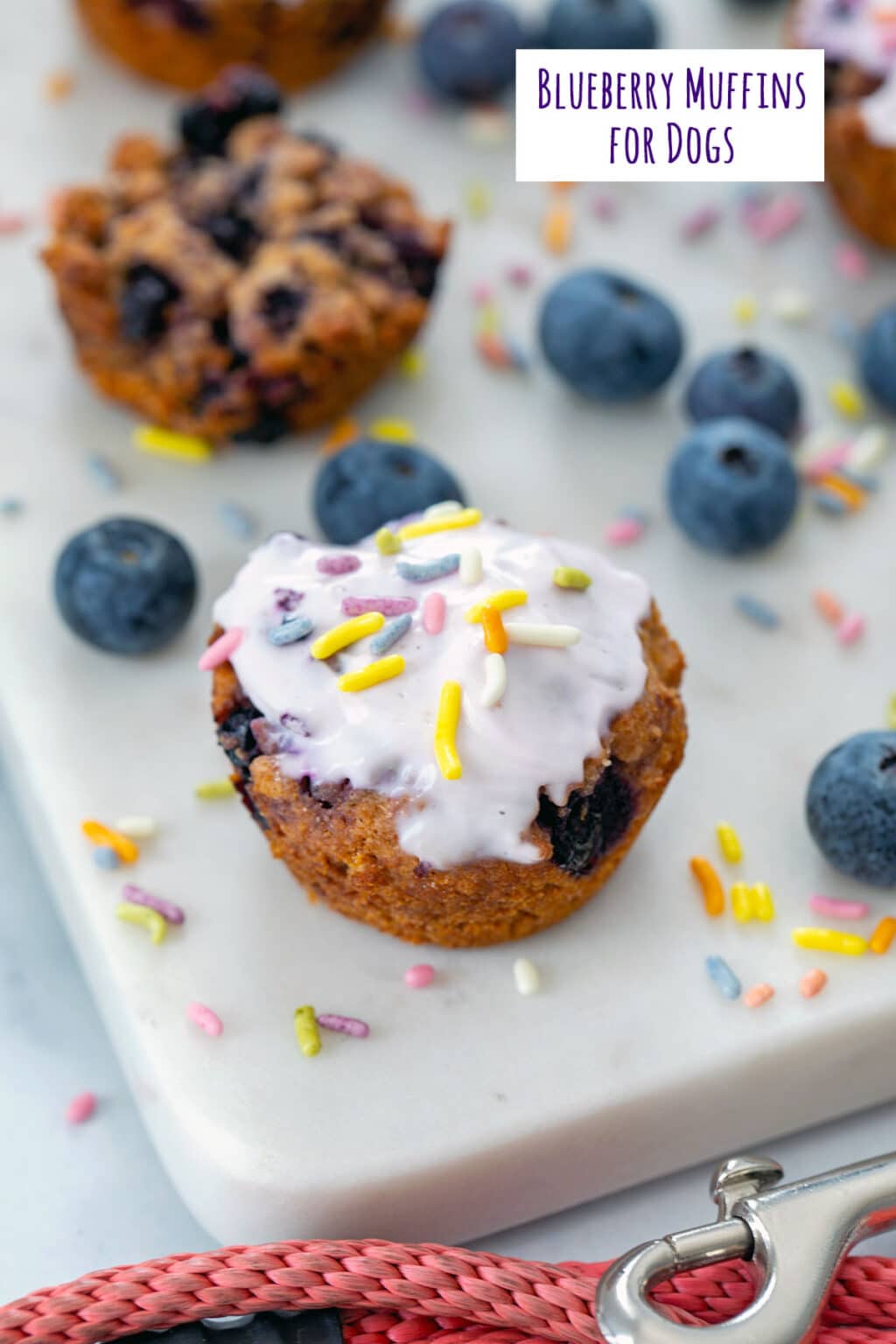 Blueberry Muffins for Dogs Recipe - We are not Martha
