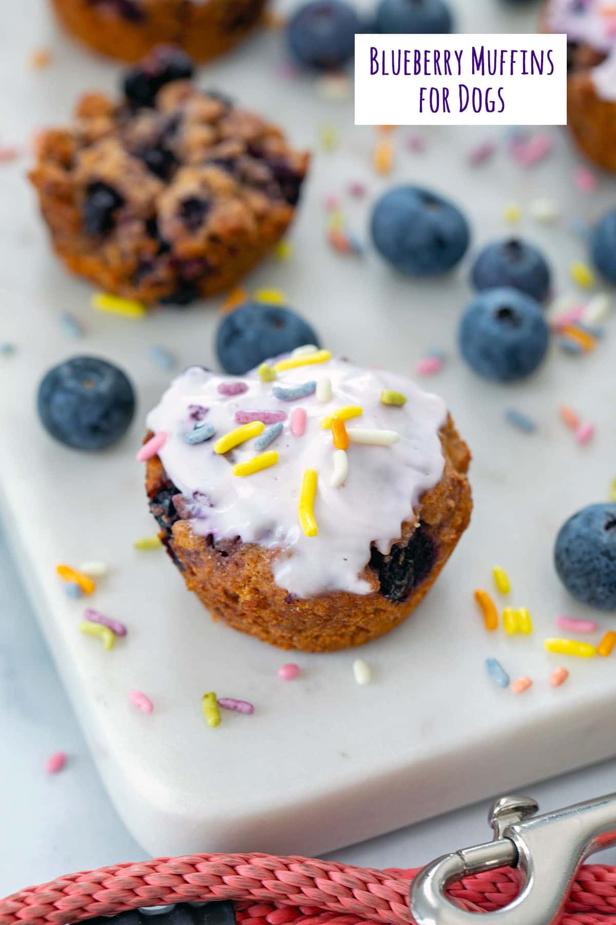 Blueberry Muffins for Dogs Recipe - We are not Martha