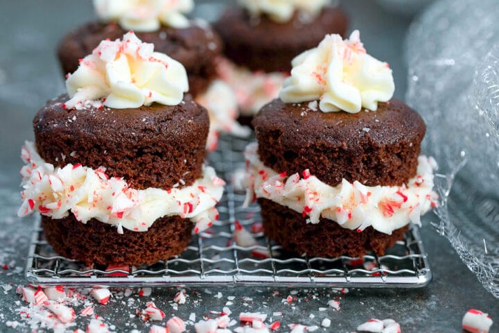 Chocolate Peppermint Cupcakes Recipe | We are not Martha