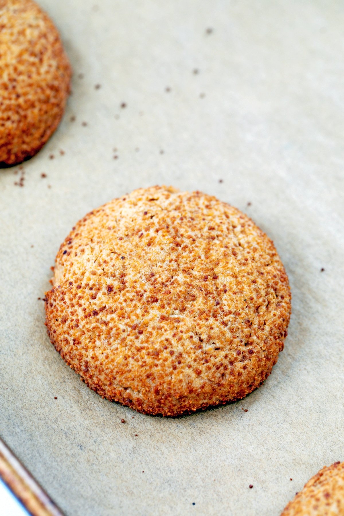 Coconut Sugar Cookies Recipe - We are not Martha