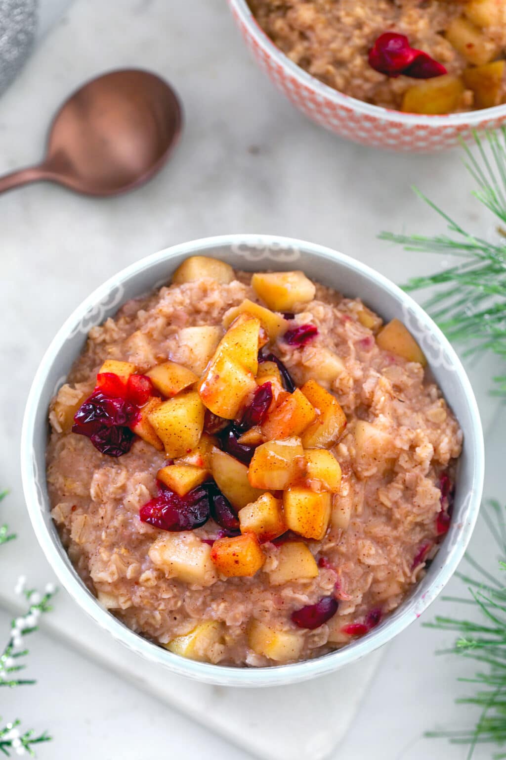 Cranberry Apple Oatmeal Recipe - We are not Martha