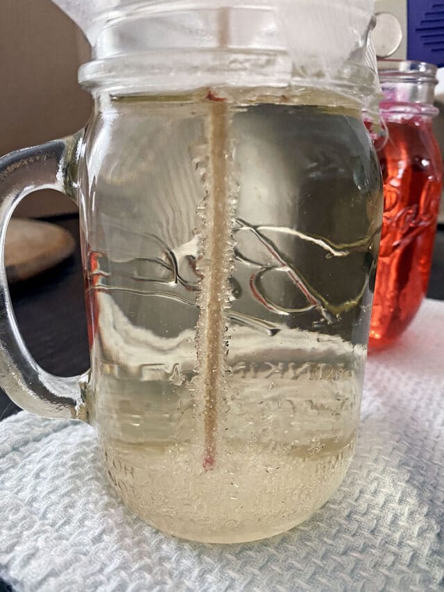 How to Make Rock Candy {DIY Project} | We are not Martha