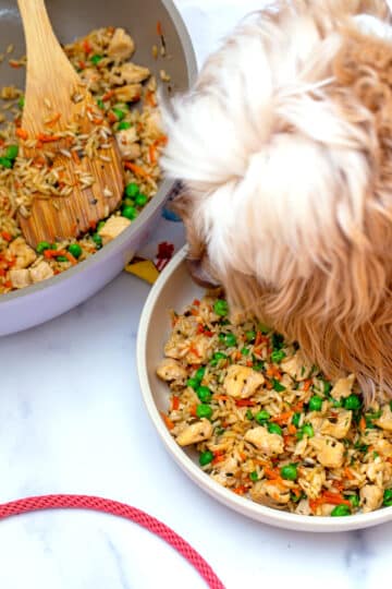 Chicken and Rice for Dogs Recipe - We are not Martha