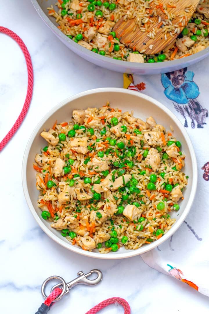 Chicken and Rice for Dogs Recipe - We are not Martha