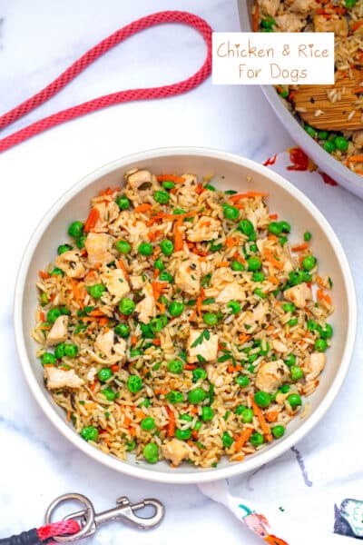 Chicken and Rice for Dogs Recipe - We are not Martha