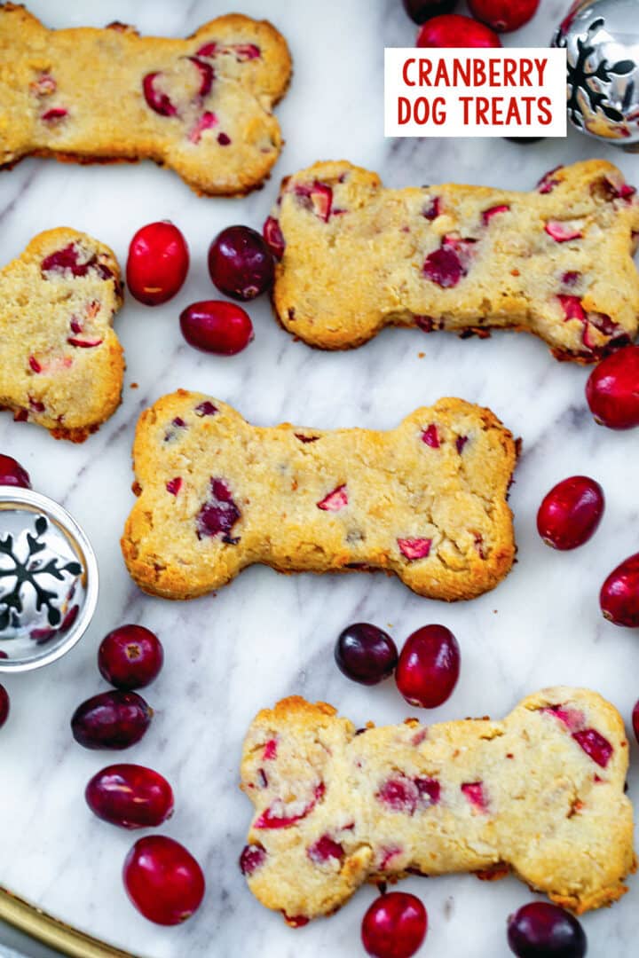 Cranberry Dog Treats Recipe - We are not Martha