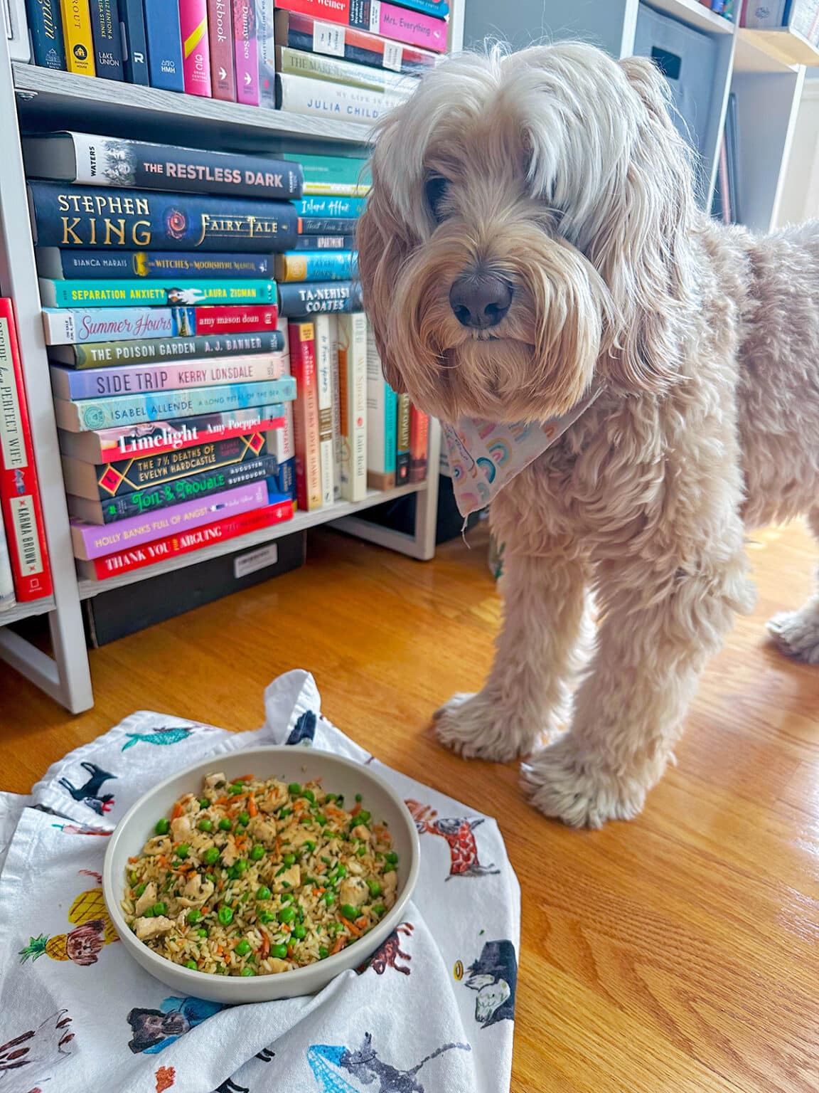 Chicken and Rice for Dogs Recipe - We are not Martha